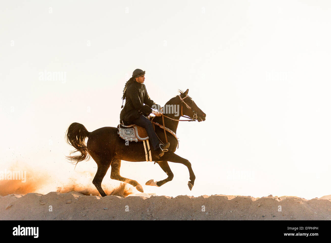 Arabian Horse Rider traditional dress bay stallion galloping the desert ...