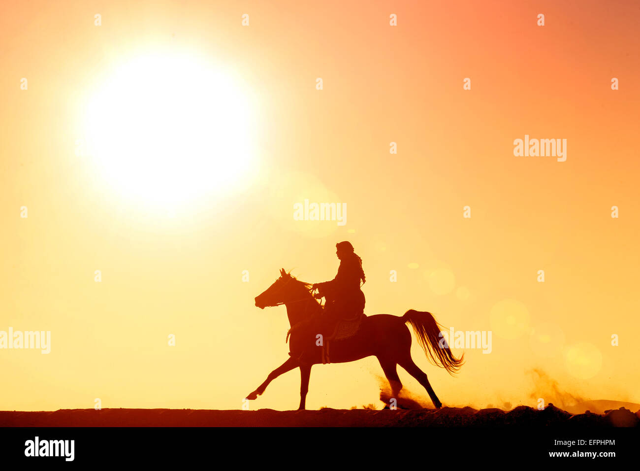 Arabian Horse Rider traditional dress bay stallion galloping the desert ...
