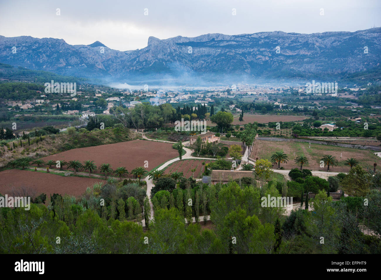 Soller valley is famous for it's production of oranges and lemons Stock ...