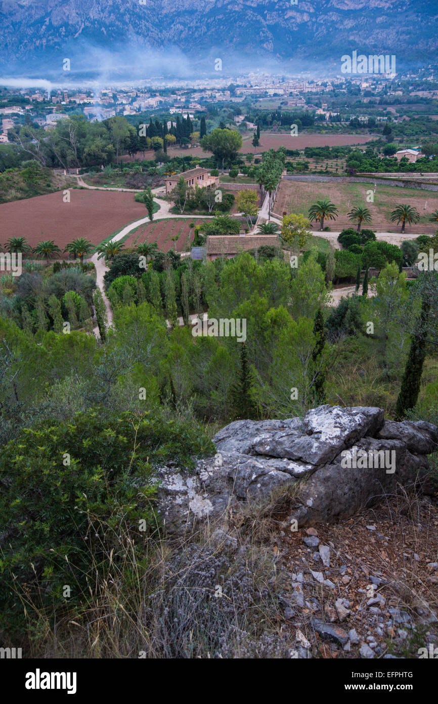 Soller valley is famous for it's production of oranges and lemons Stock ...
