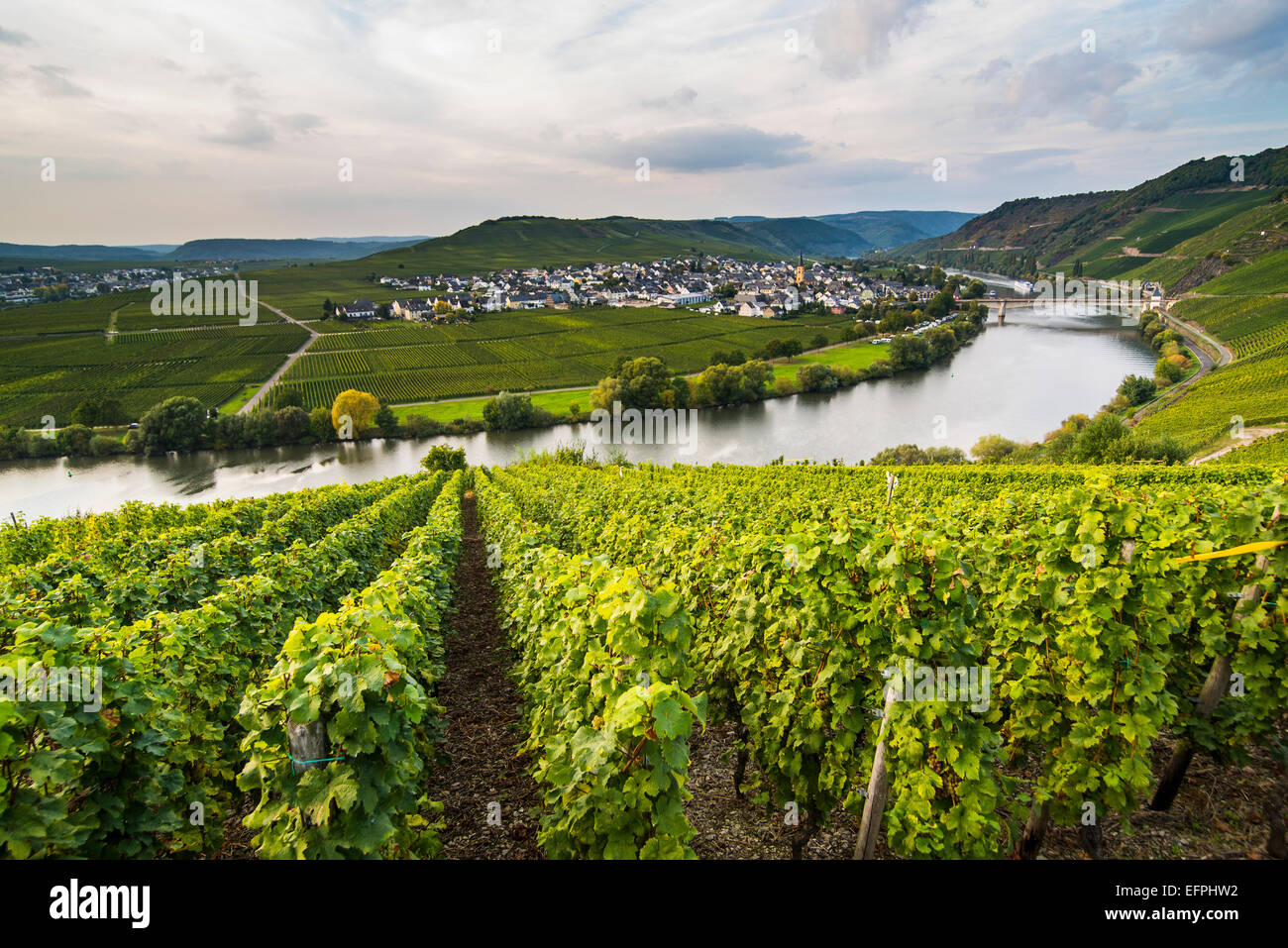 Trittenheim village hi-res stock photography and images - Alamy