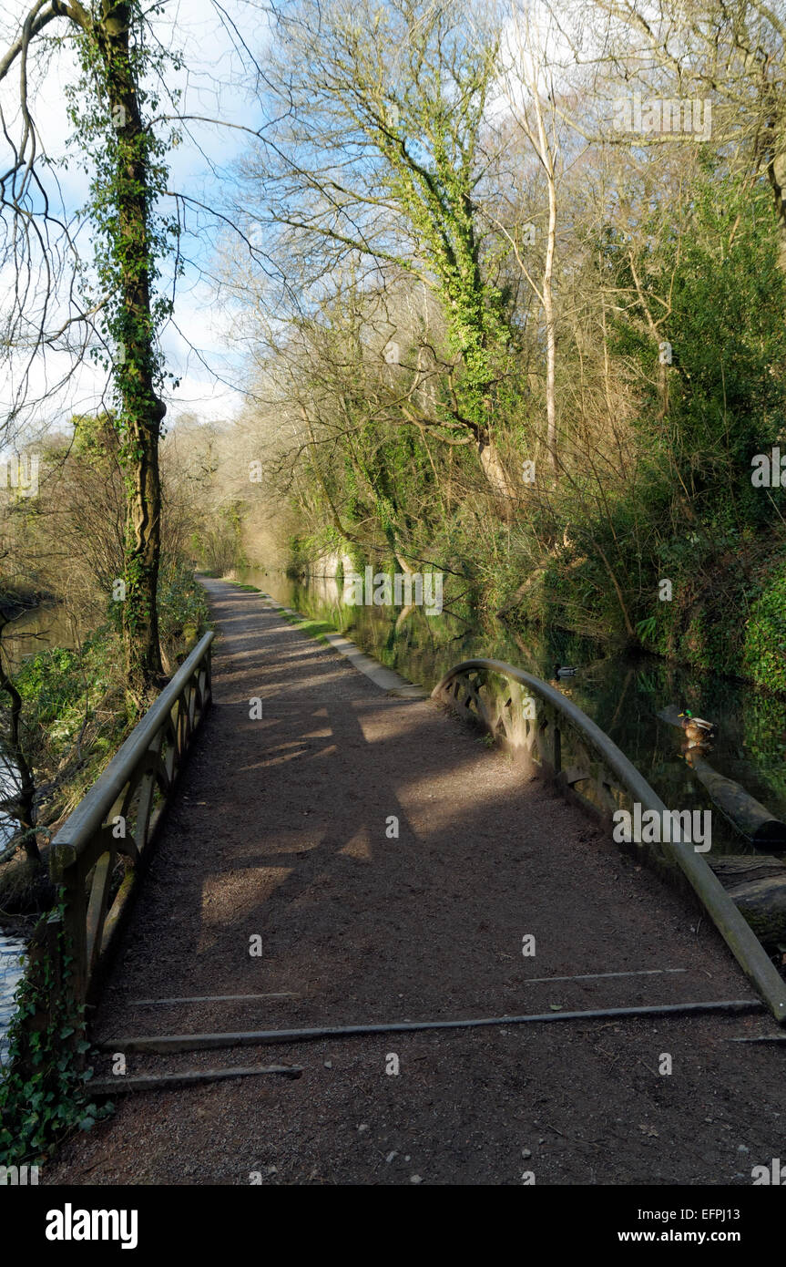 Glamorgan Canal Nature Reserve, Whitchurch Cardiff, South Wales, UK ...