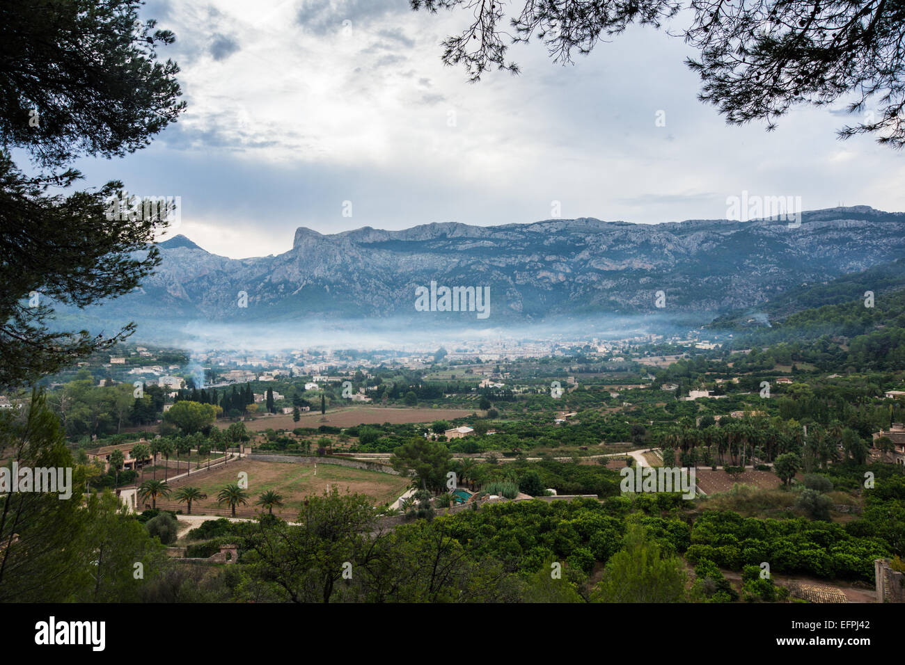Soller valley is famous for it's production of oranges and lemons Stock ...