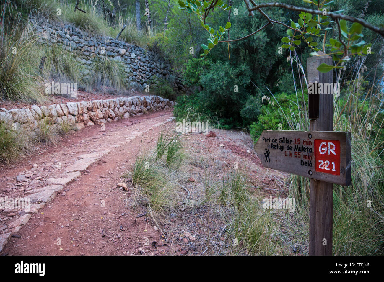 Soller valley is famous for it's production of oranges and lemons Stock ...