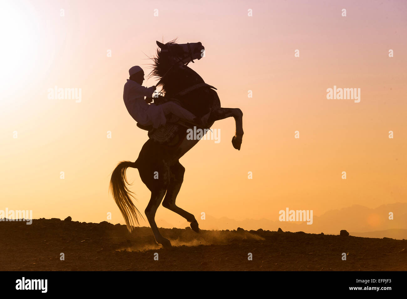 Silhouette man horse against sunset hi-res stock photography and images ...