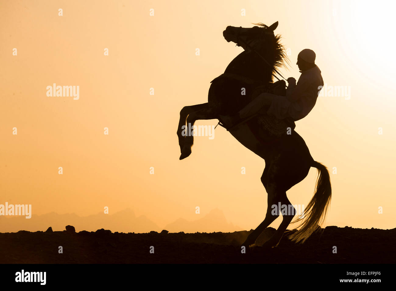 Silhouette man horse against sunset hi-res stock photography and images ...