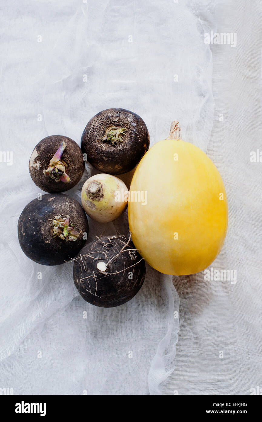 Black squash hi-res stock photography and images - Alamy