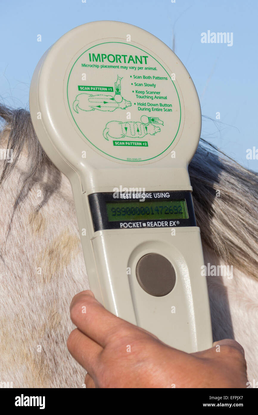 Rfid scanner hi-res stock photography and images - Alamy