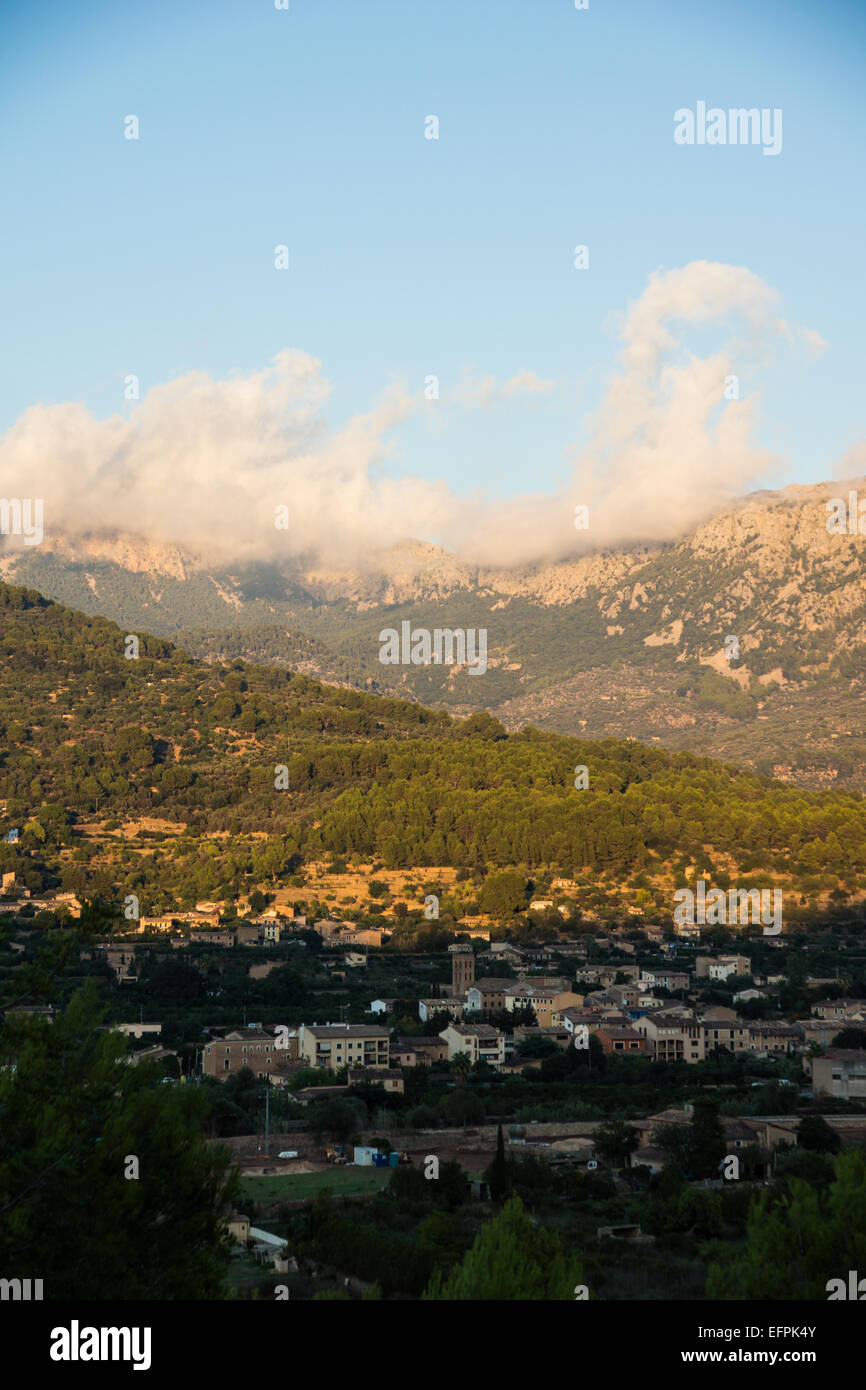 Soller valley is famous for it's production of oranges and lemons Stock ...