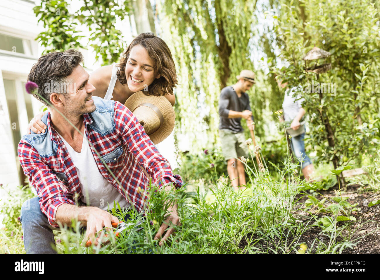Companion gardening hi-res stock photography and images - Alamy