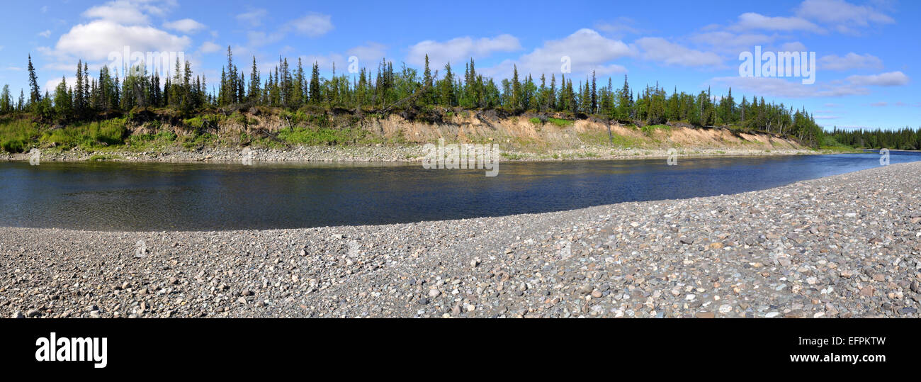 Panoramic landscape polar river in the Urals. Polar Ural, Komi Republic ...