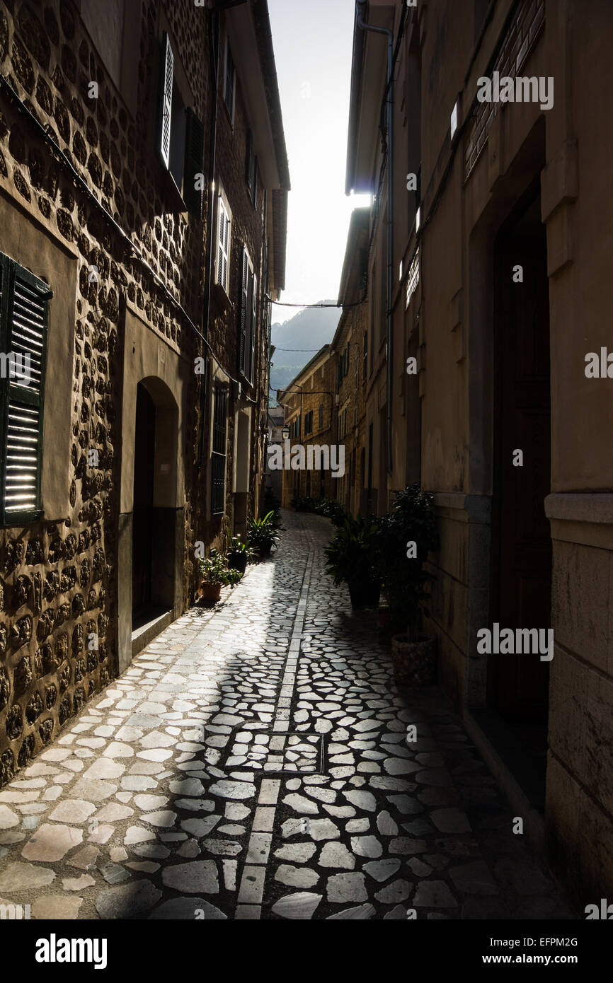 Soller valley is famous for it's production of oranges and lemons Stock ...