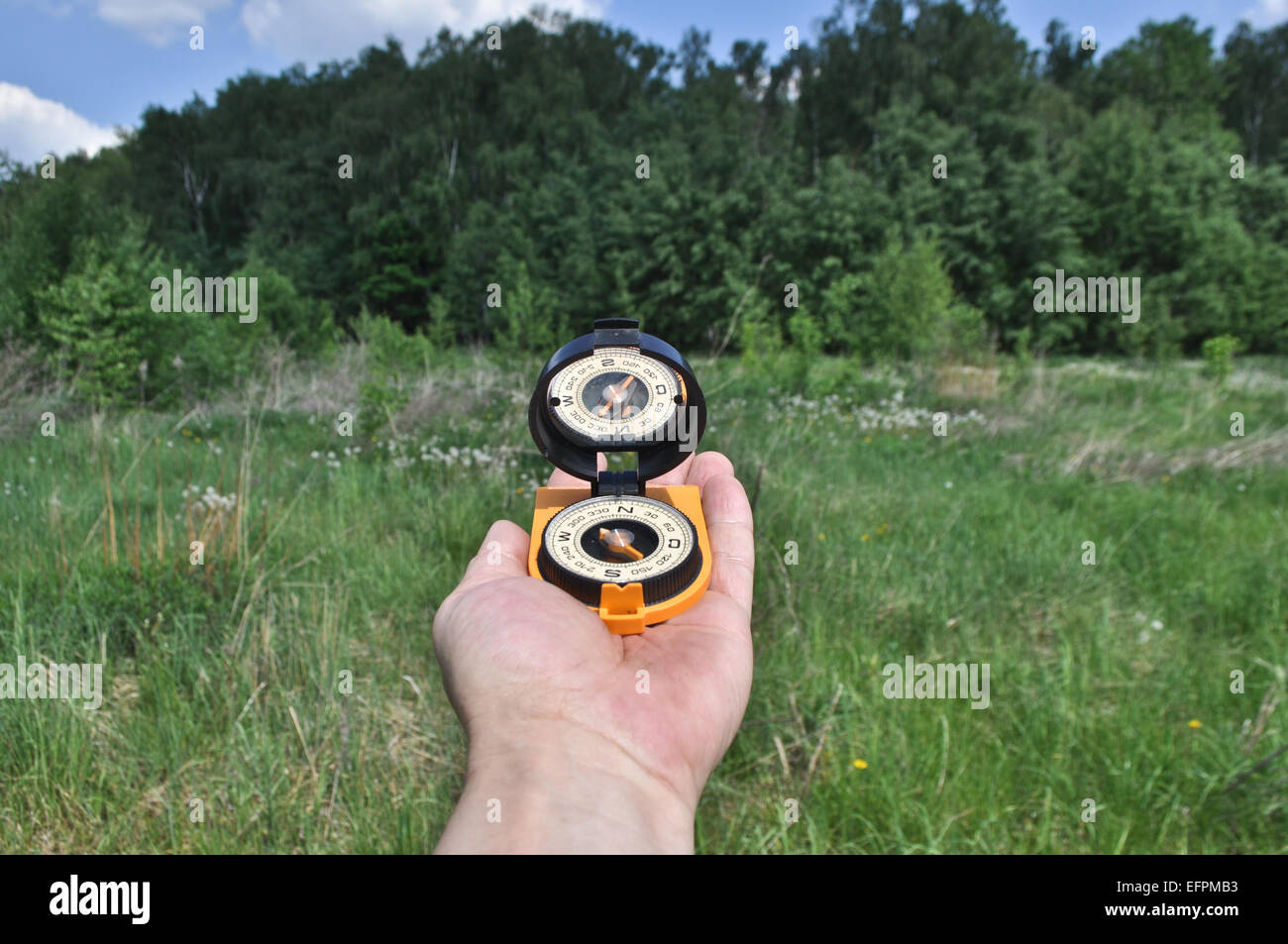 Forest, may, walk in the woods. Compass in hand, against the background ...
