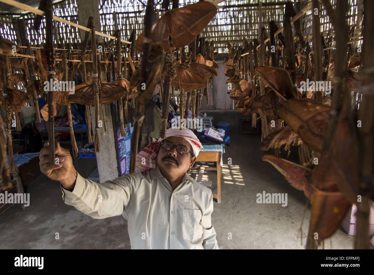 Muga silk moth hi-res stock photography and images - Alamy