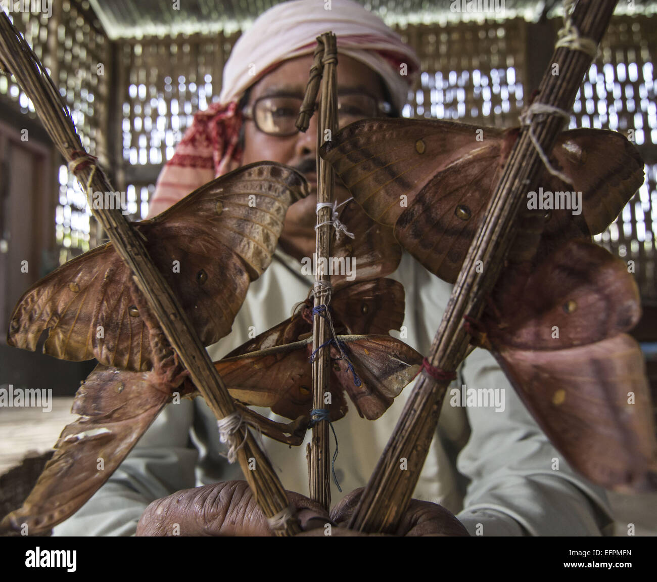 Muga silk worm hi-res stock photography and images - Alamy