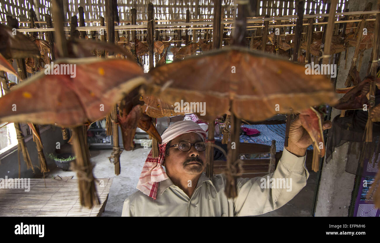 Muga silk moth hi-res stock photography and images - Alamy
