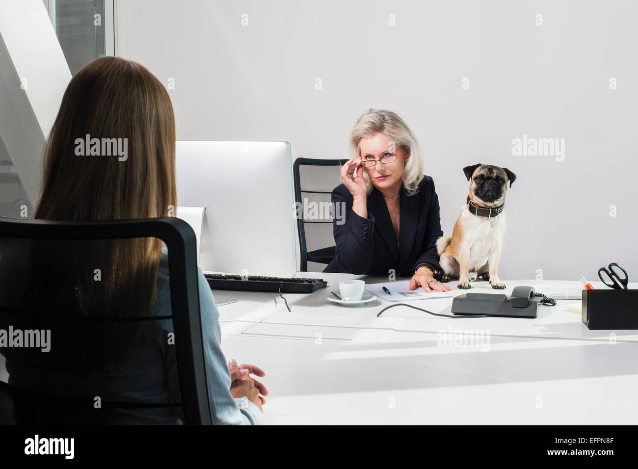 Female manager with dog interviewing woman Stock Photo - Alamy