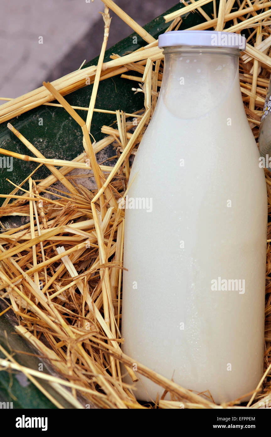 Bottle of Milk Close up Stock Photo - Alamy
