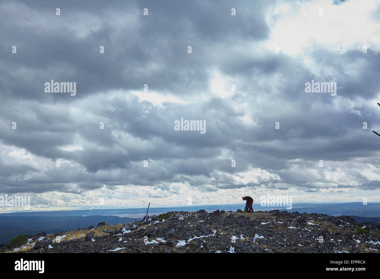 Mount Washburn, Yellowstone National Park, Wyoming, USA Stock Photo - Alamy
