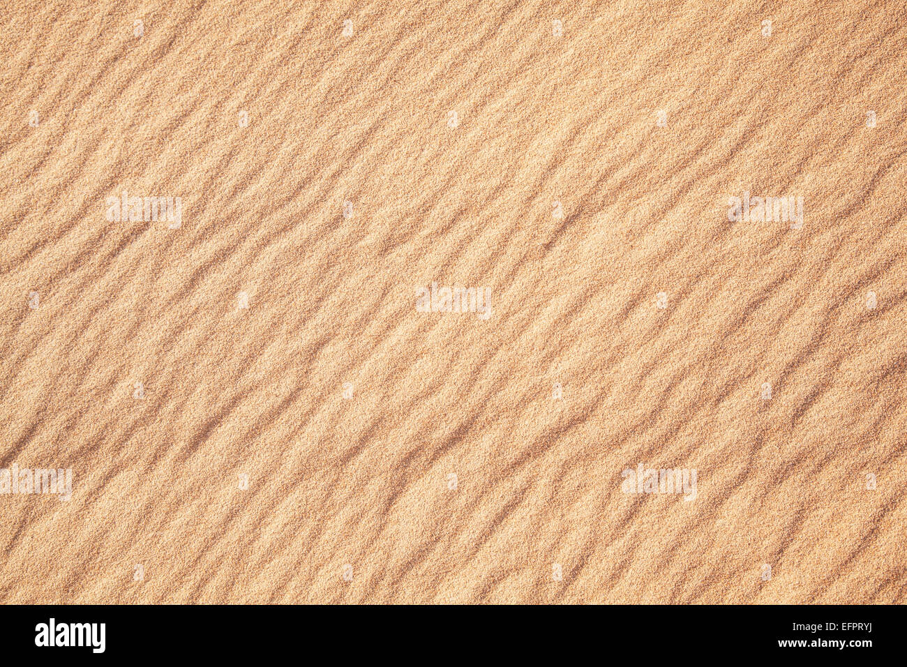 Rippled sand in desert Stock Photo - Alamy