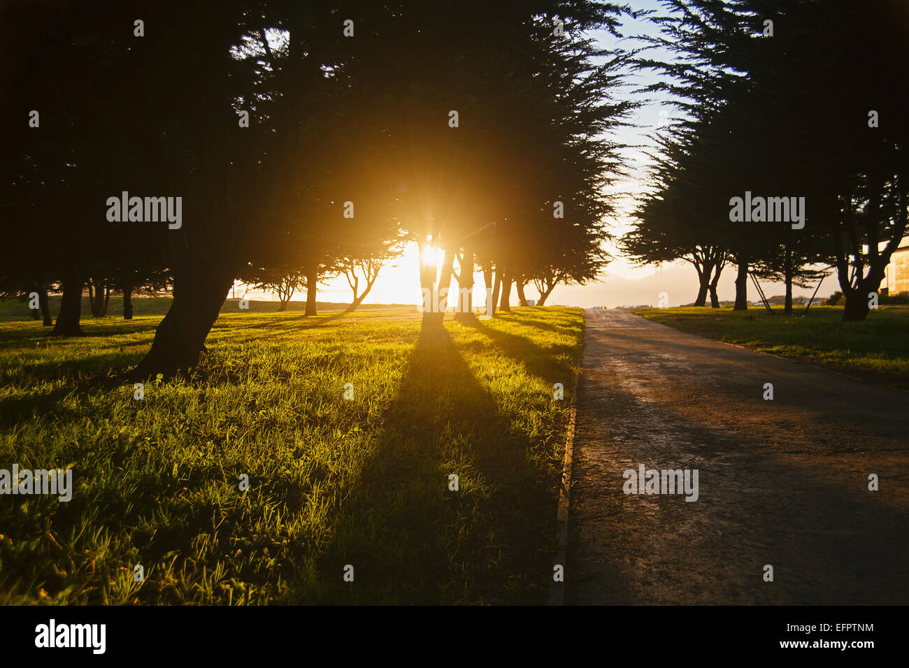 San francisco presidio park hi-res stock photography and images - Alamy