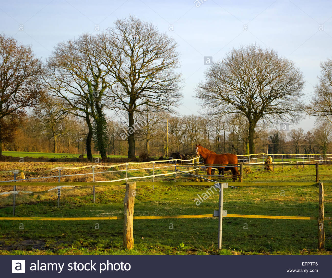 Enclosed Field High Resolution Stock Photography and Images - Alamy