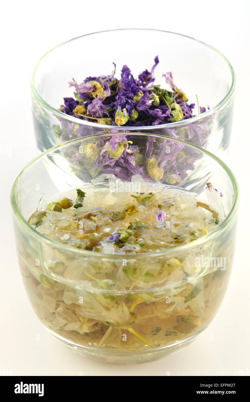 Dried Mallow Flowers Herbal Infusion Stock Photo - Alamy