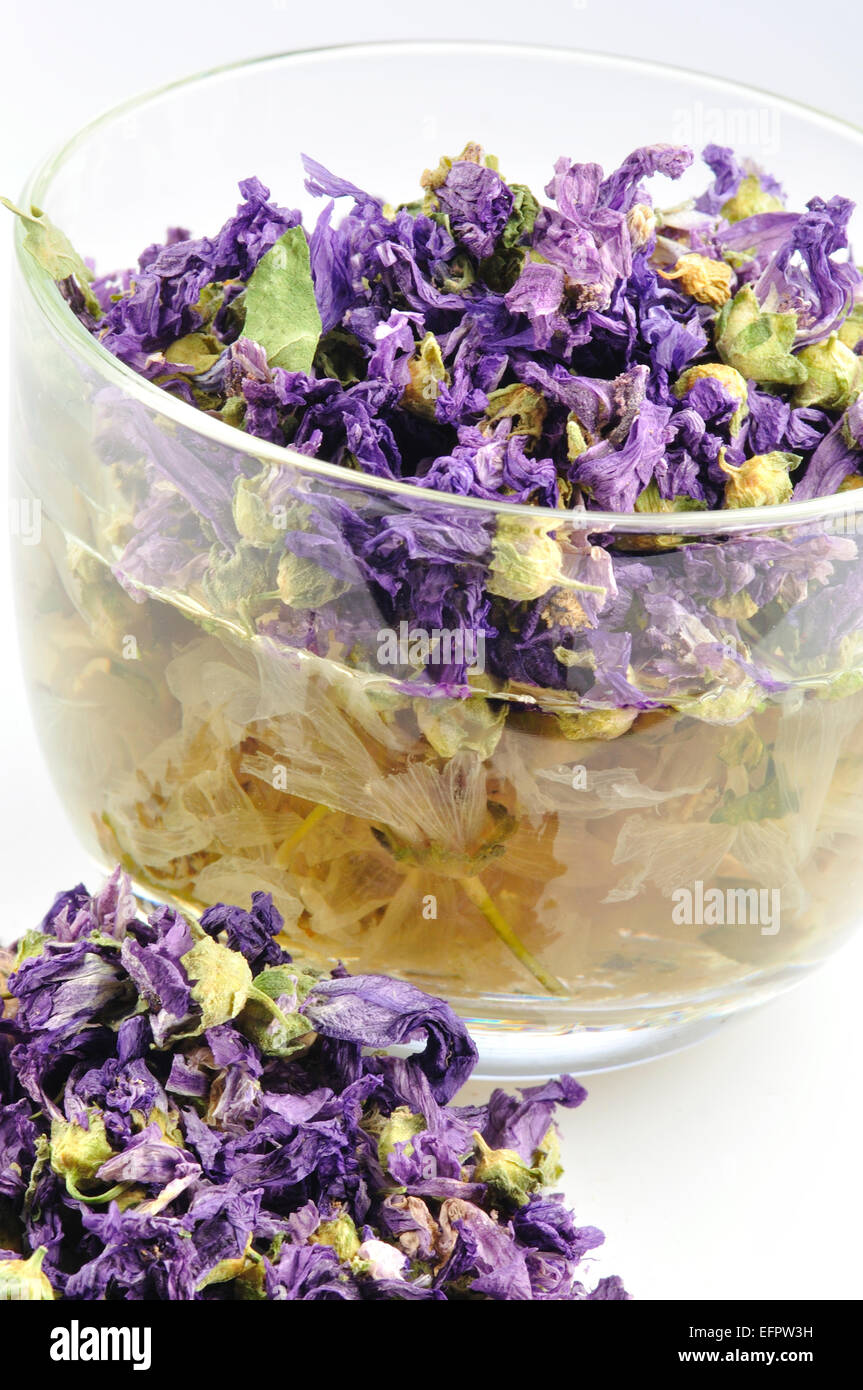 Dried Mallow Flowers Herbal Infusion Stock Photo - Alamy
