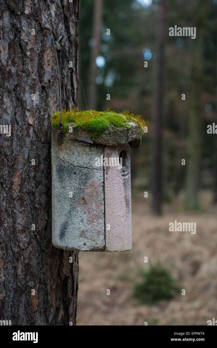 Moss covered house hi-res stock photography and images - Alamy