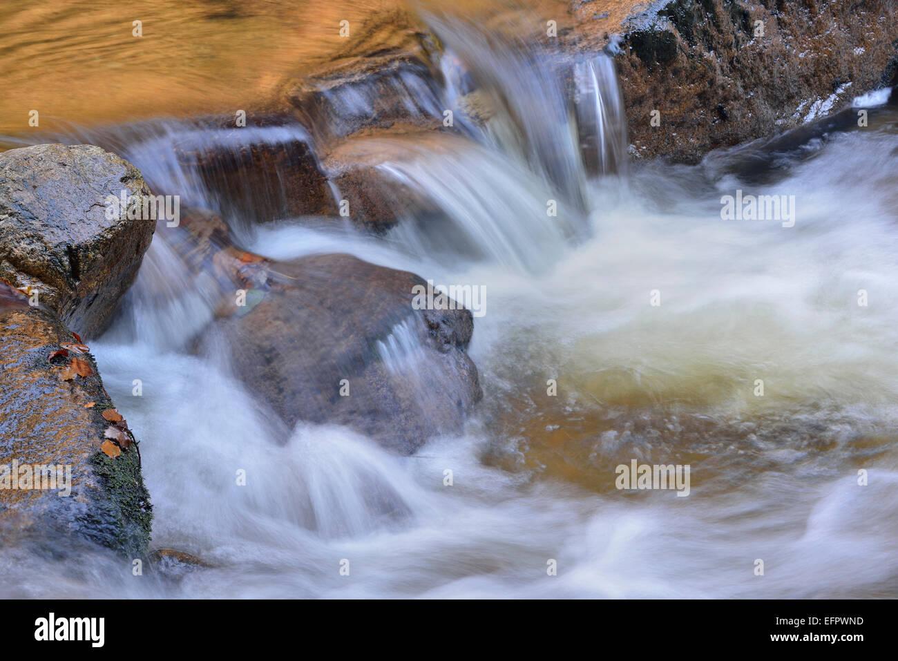Water running over rocks in a brook in autumn, Ilse mountain brook ...