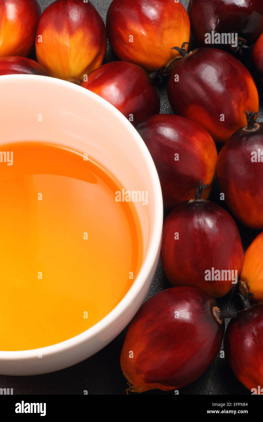Oil palm fruits and bowl of cooking oil on black background Stock Photo ...