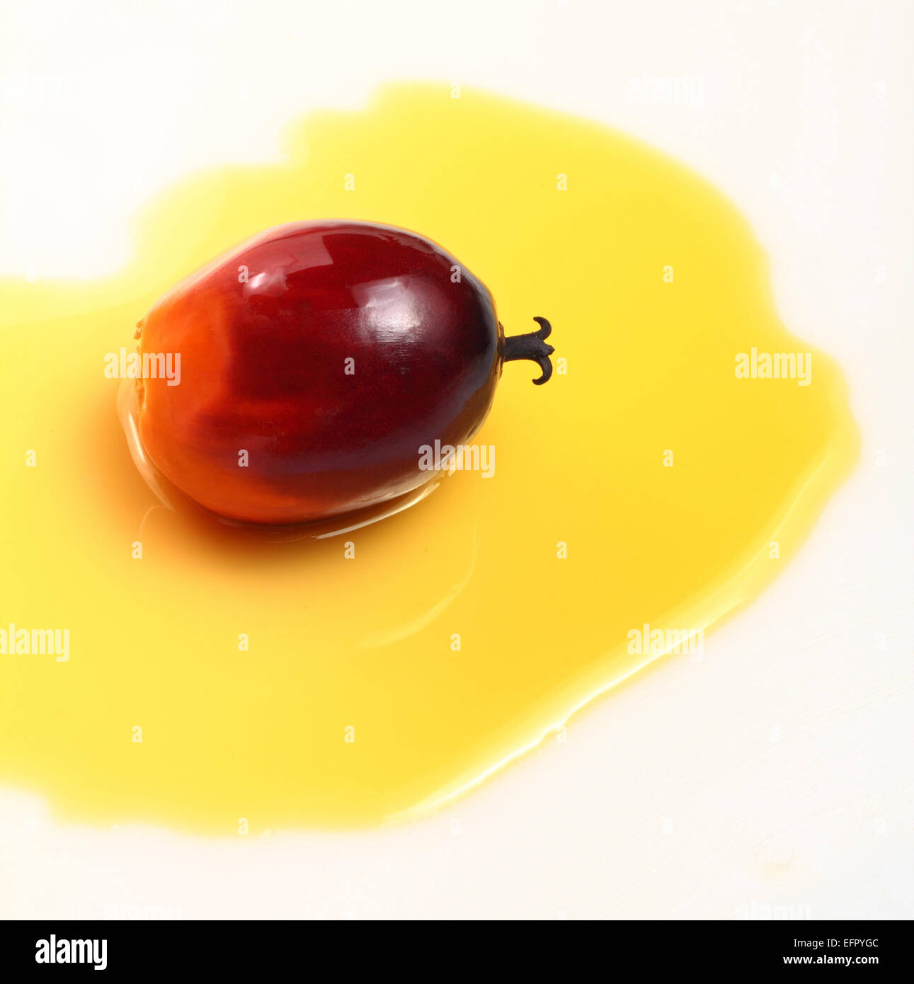 Oil palm fruit and cooking oil isolated on white background Stock Photo ...