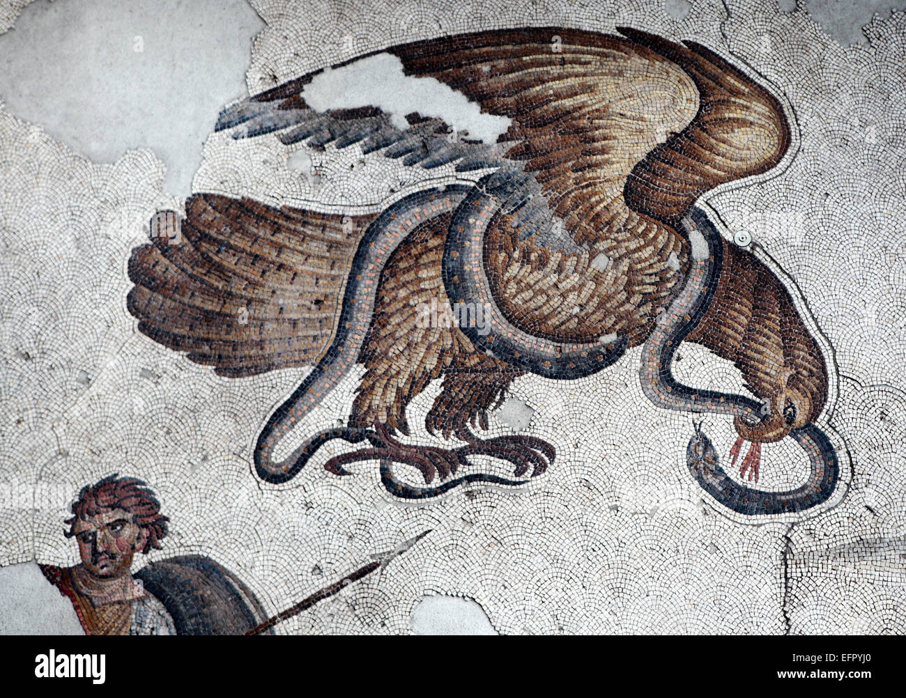 Emperors of turkey hi-res stock photography and images - Alamy