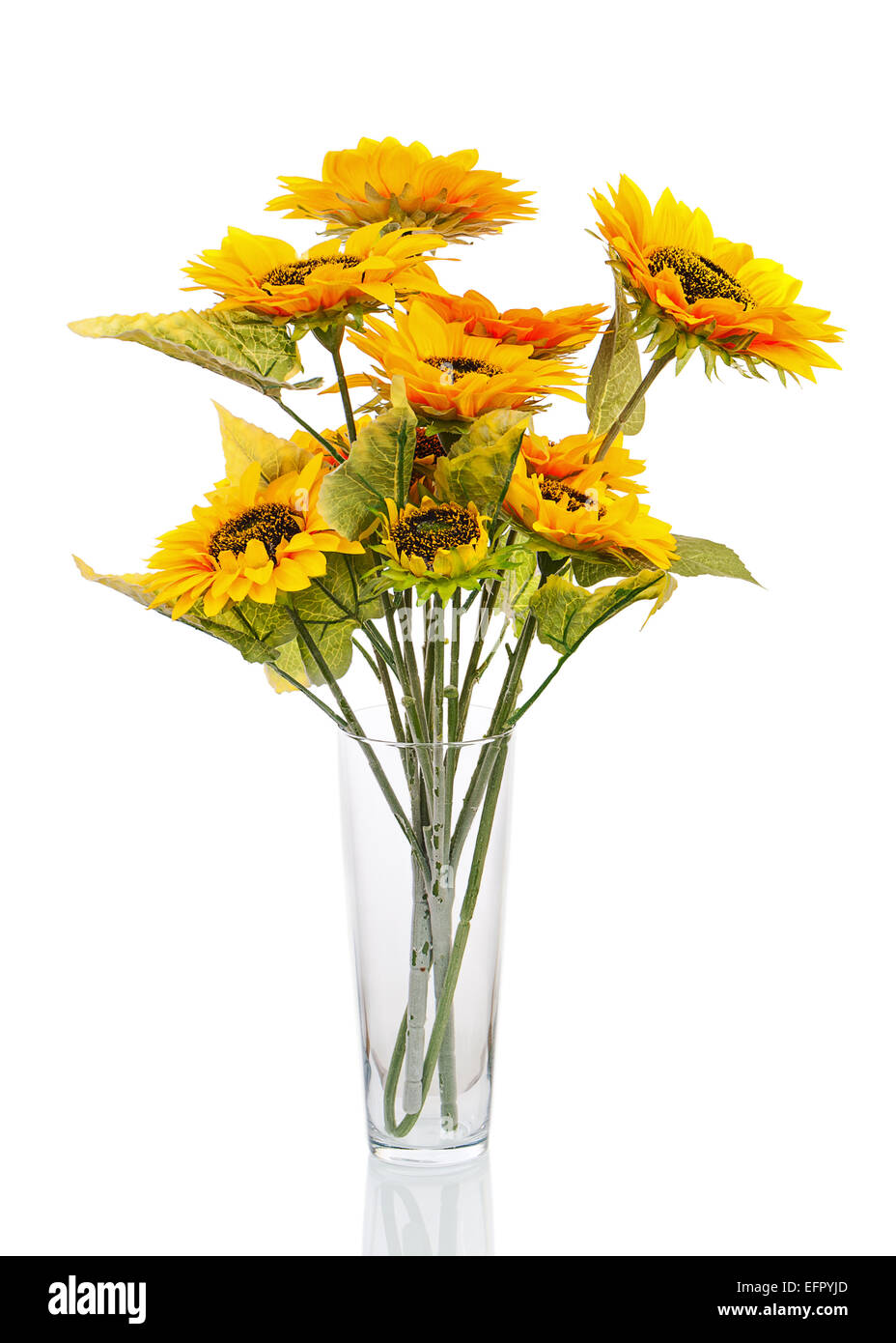 Vase with sunflower hi-res stock photography and images - Alamy