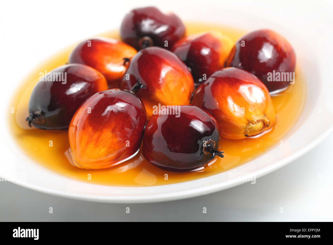 A batch of oil palm fruits and cooking oil on white plate Stock Photo ...