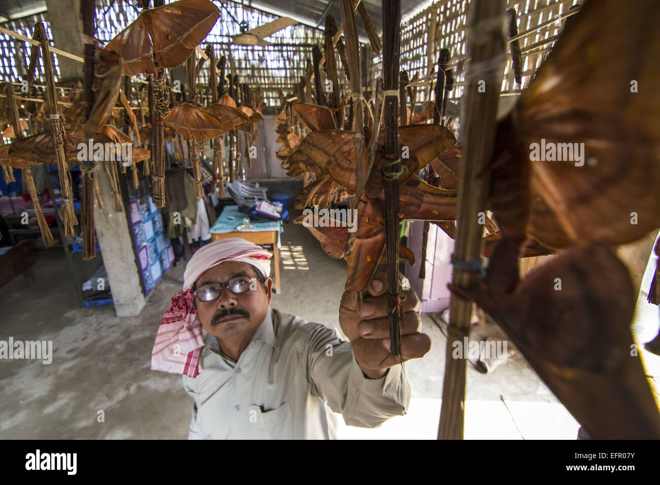 Muga silk worm hi-res stock photography and images - Alamy
