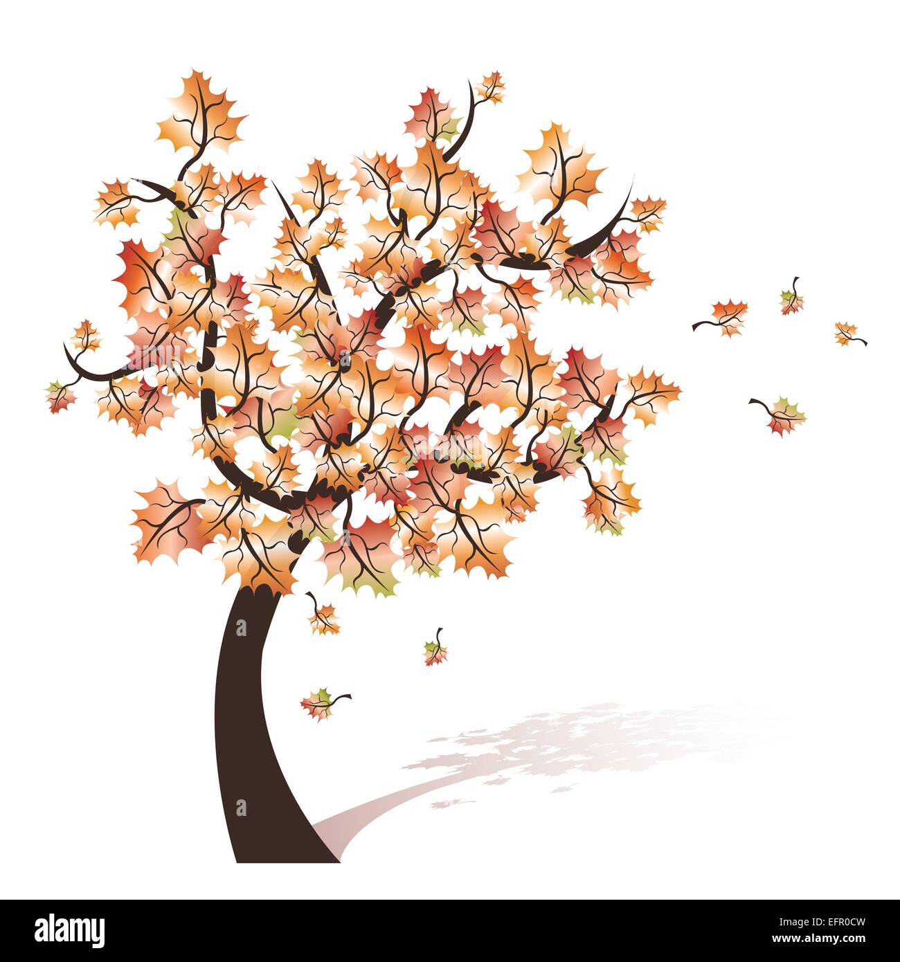 Shadow of tree branches Stock Vector Images - Alamy