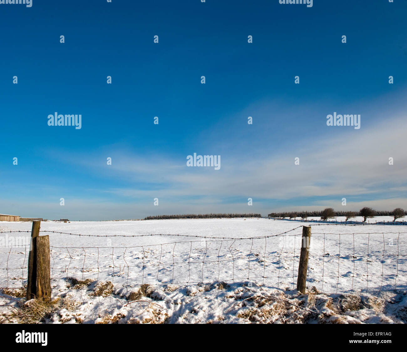 Fields in the snow on Bodmin moor, North Cornwall Stock Photo - Alamy