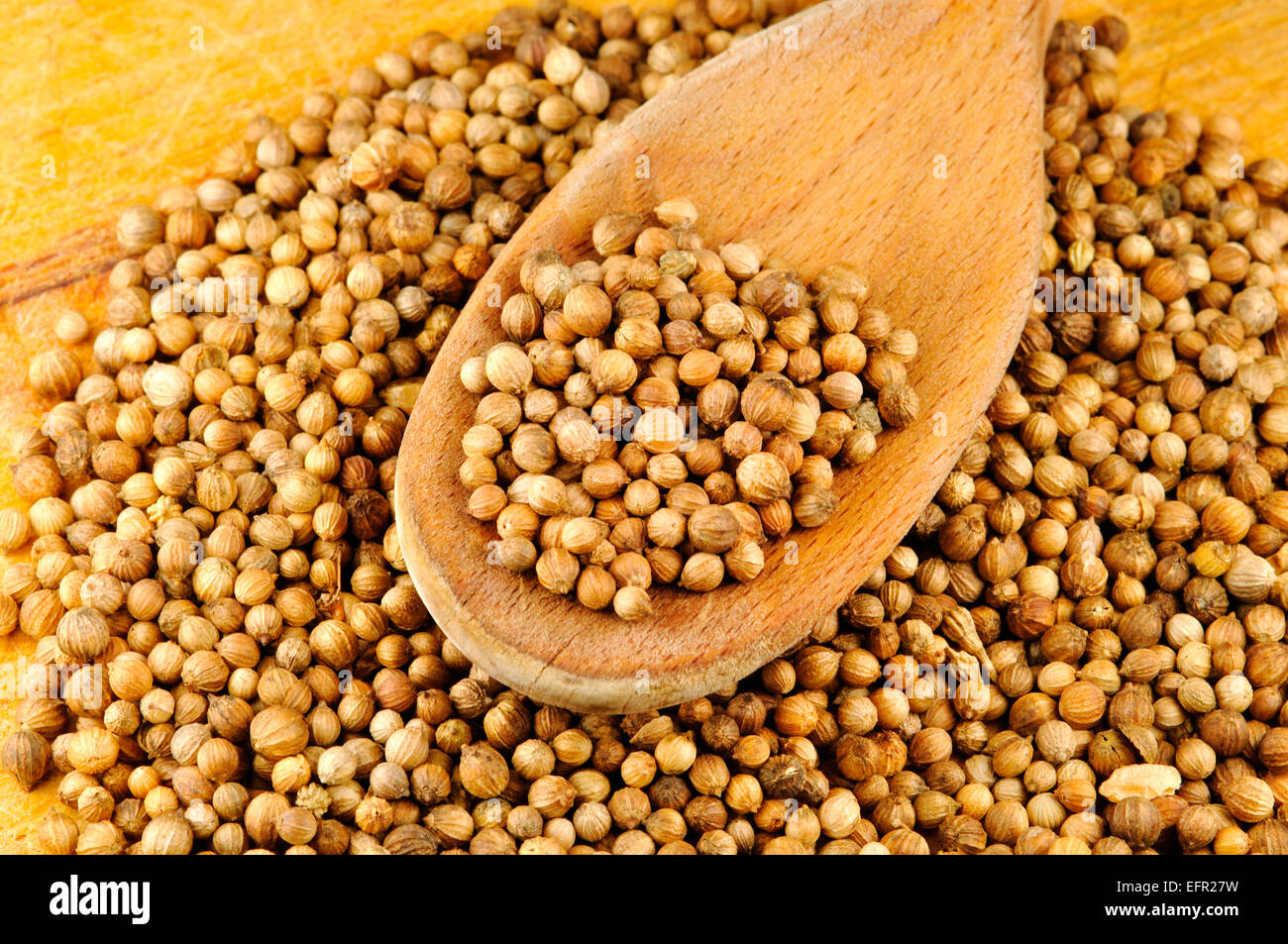 Spices, Coriander seeds Stock Photo - Alamy