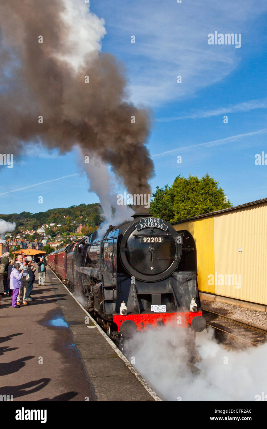 Pines express hi-res stock photography and images - Alamy