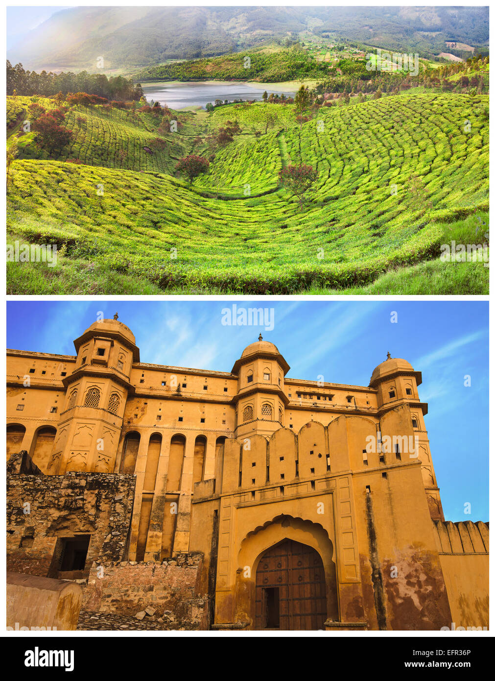 Indian collage-Tea Plantation, Amber Fort Stock Photo - Alamy