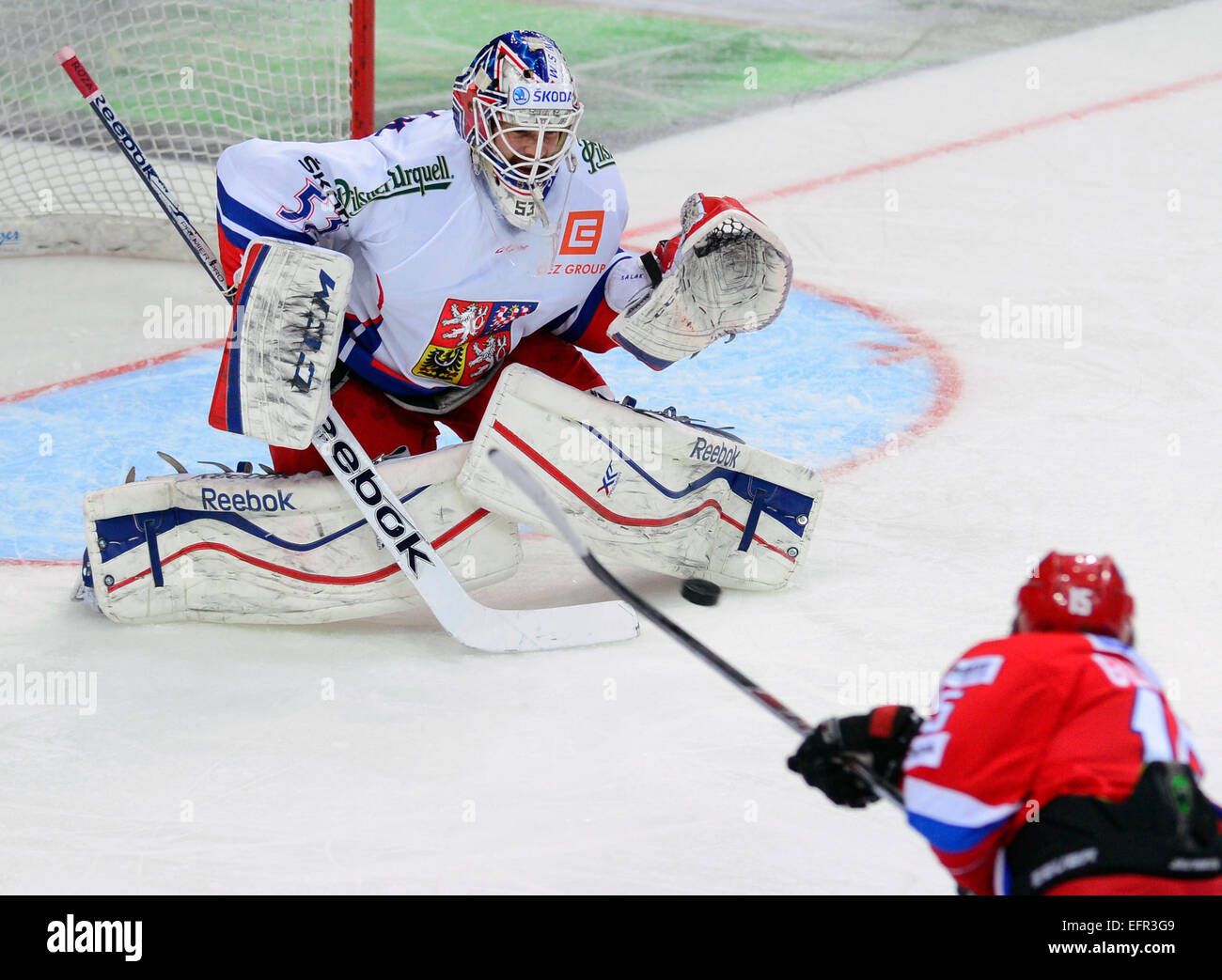 Prague, Czech Republic. 7th Feb, 2015. Czech Republic goalkeeper ...