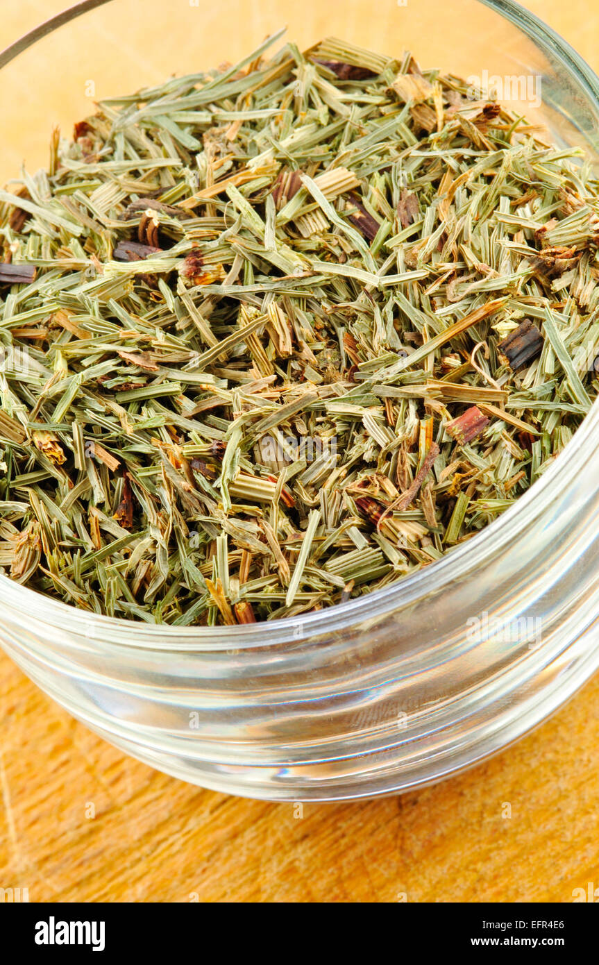 Field Horsetail Equisetum Arvense, Dried Sprouts Stock Photo - Alamy