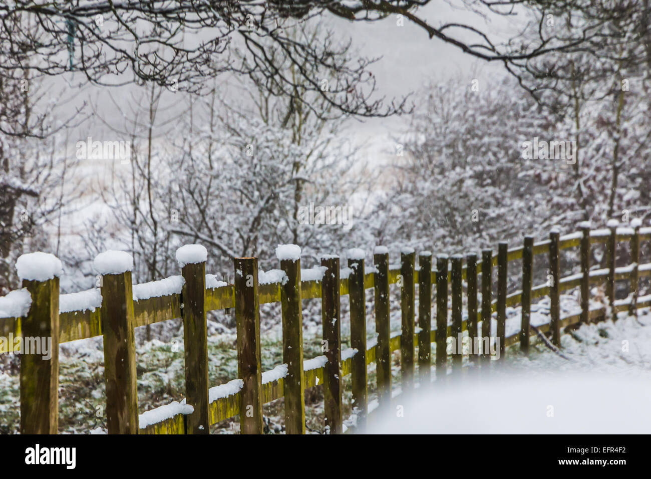 snow on the fence Stock Photo - Alamy