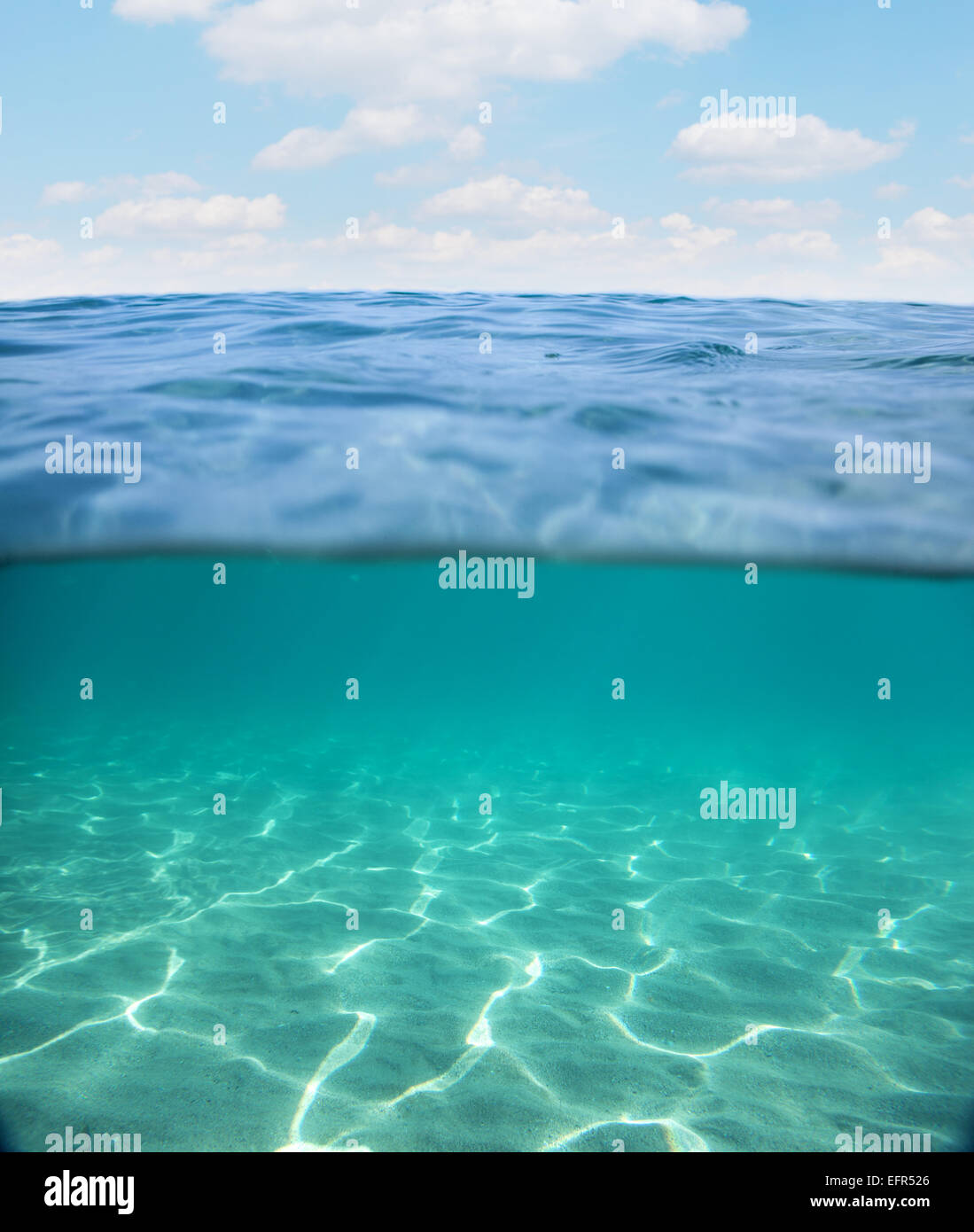 Sea bottom near the coast Stock Photo - Alamy