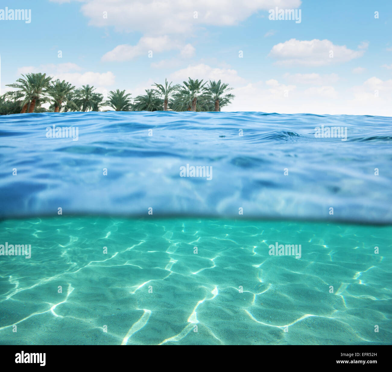 Sea bottom near the coast Stock Photo - Alamy