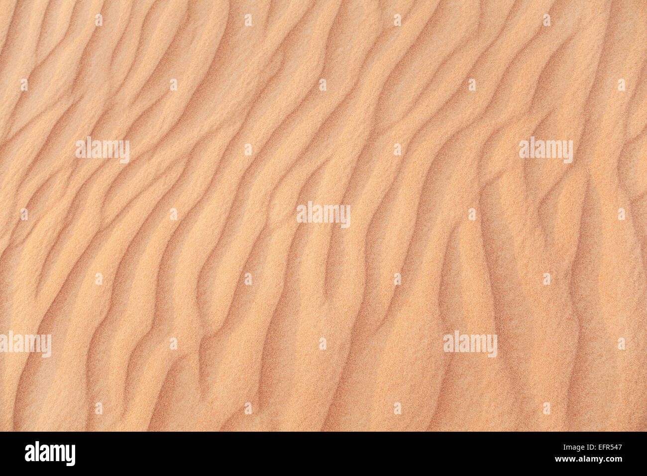 Rippled sand in desert Stock Photo - Alamy