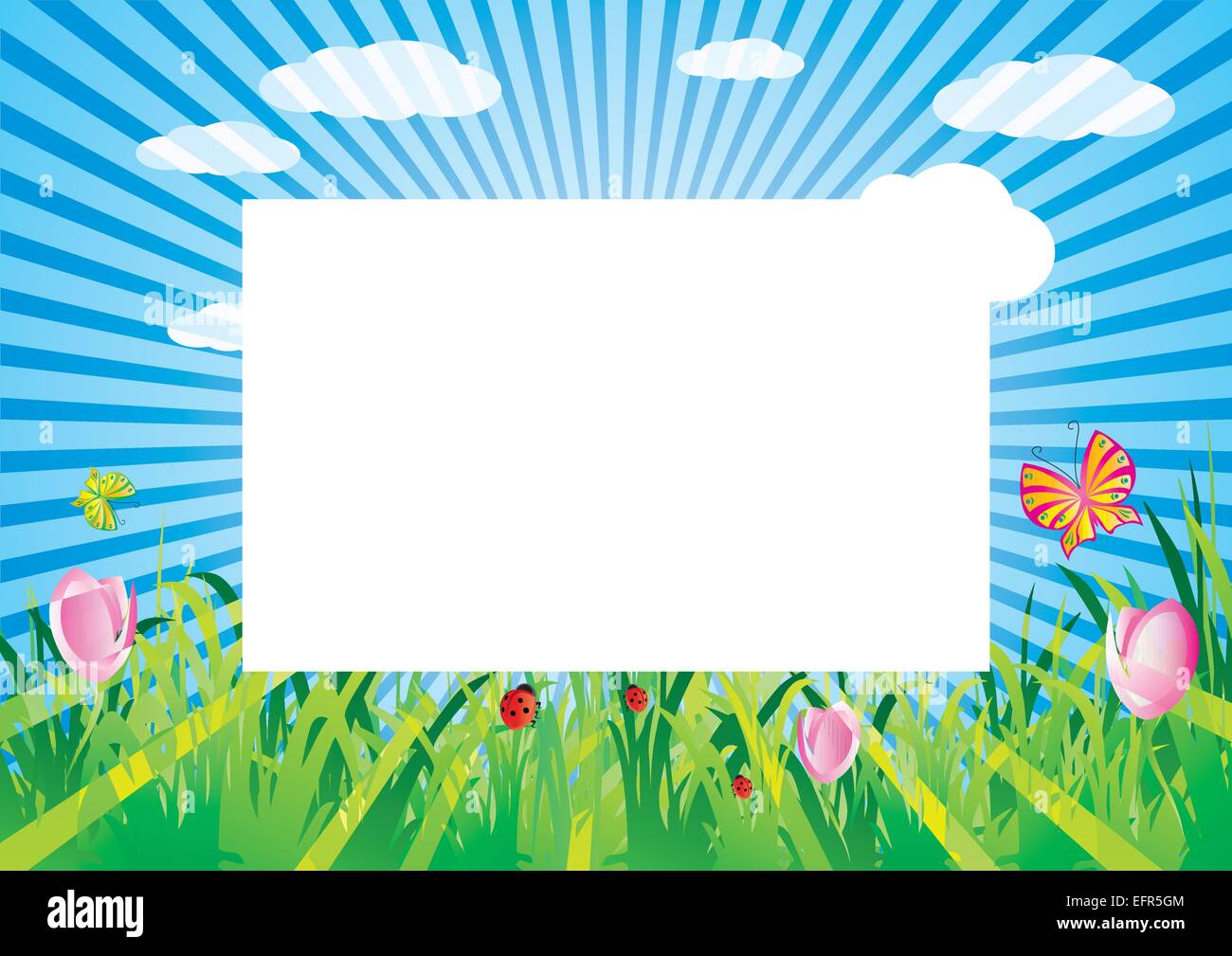 Summer shiny meadow with blank frame, vector illustration Stock Vector ...
