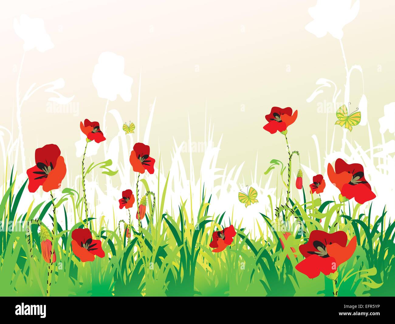 Summer poppy fields Stock Vector Images - Alamy