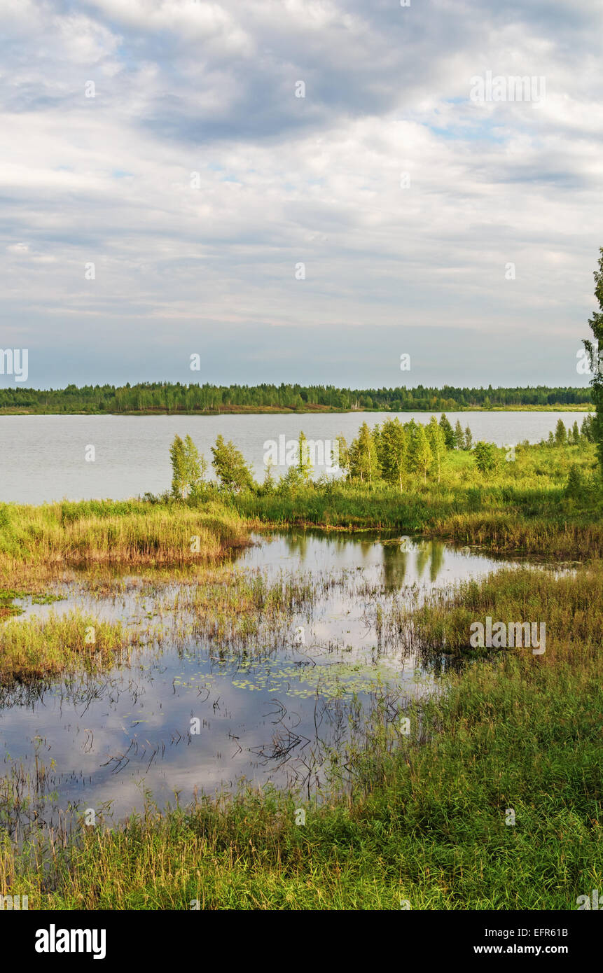 Summer boggy lake Stock Photo - Alamy